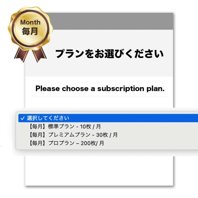 毎月プラン – sozaiya.com
