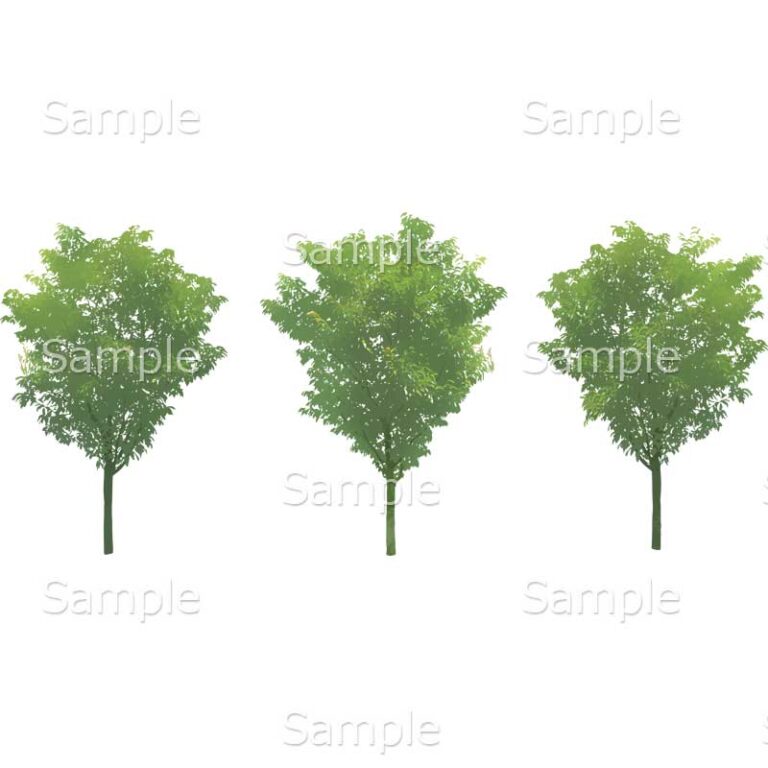 illust-free01 – sozaiya.com