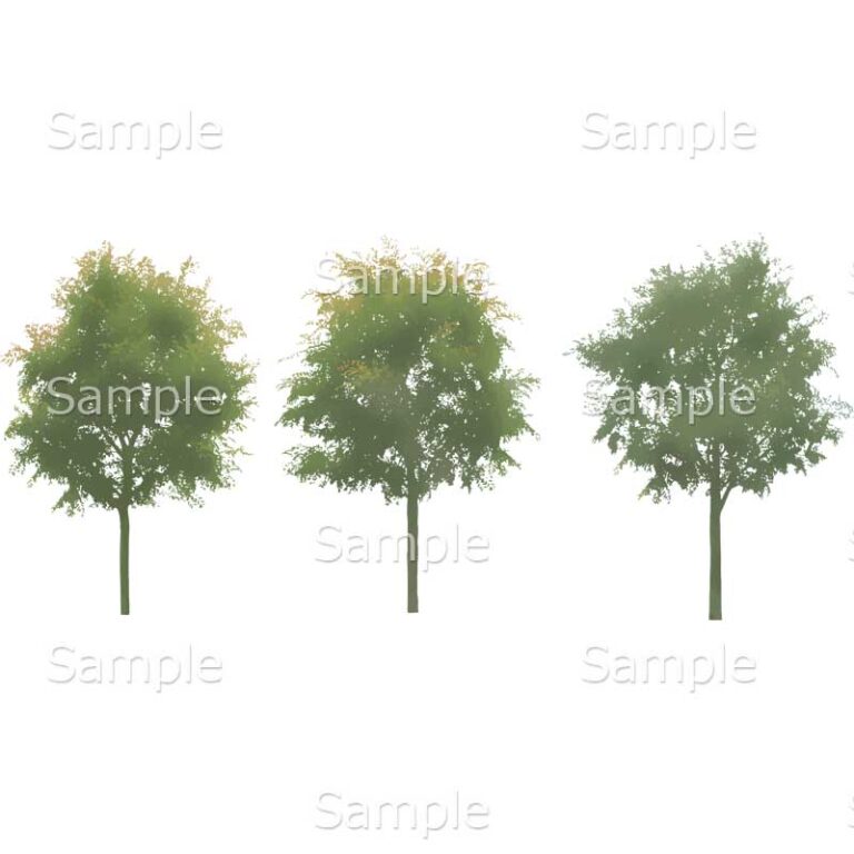 illust-free01 – sozaiya.com