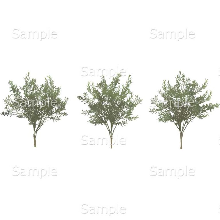 illust-free01 – sozaiya.com