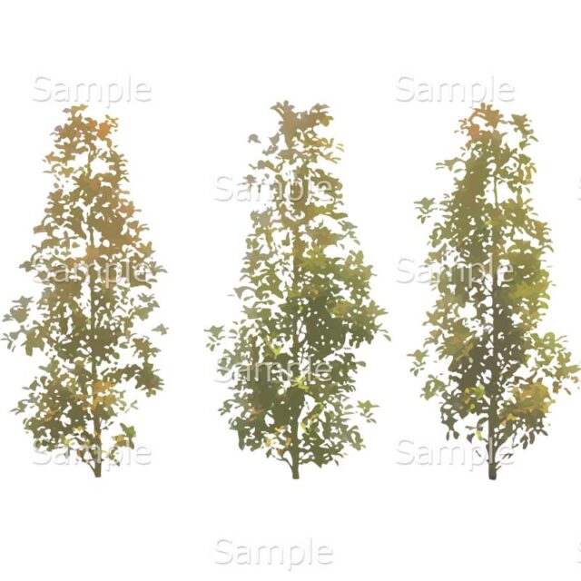 イラスト – sozaiya.com