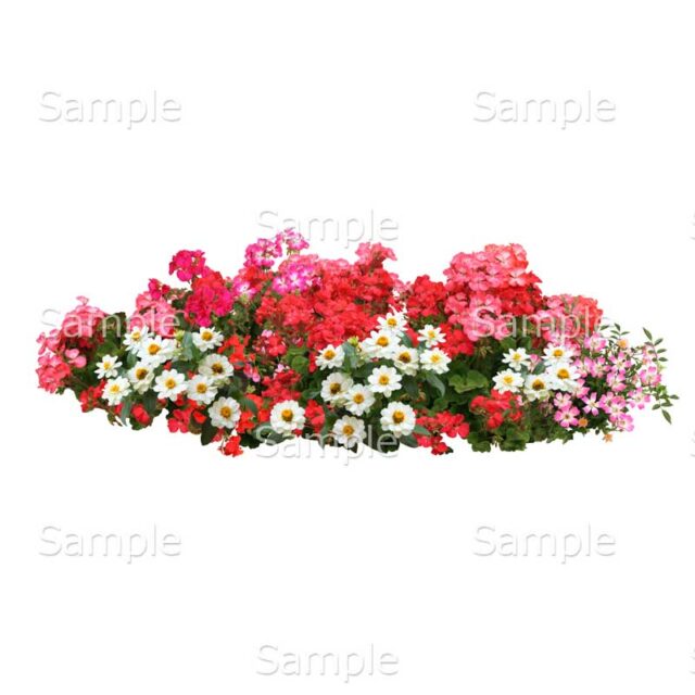 花素材 – sozaiya.com