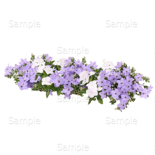 F1020 – sozaiya.com