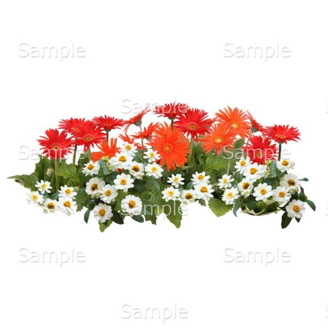 花素材 – sozaiya.com