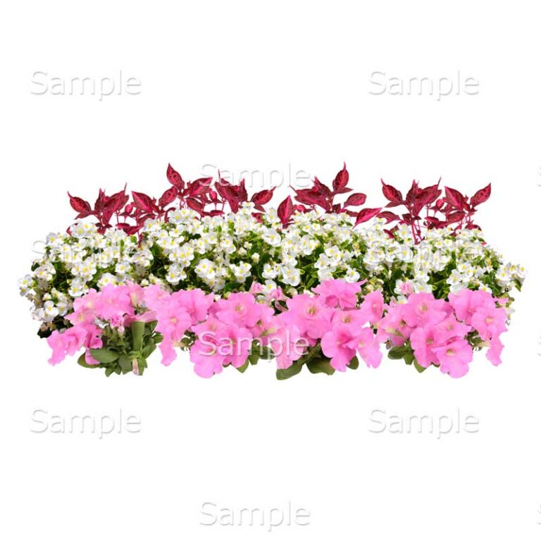 花素材 – sozaiya.com