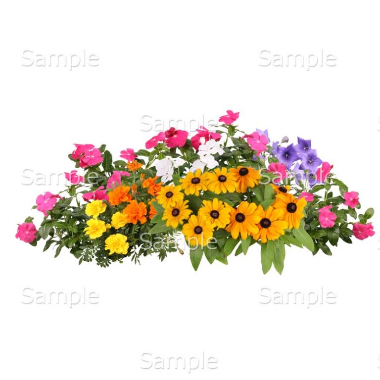 花素材 – sozaiya.com