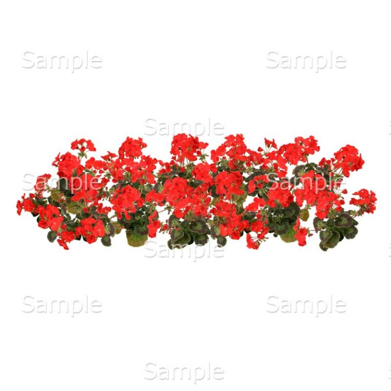 F1005 – sozaiya.com