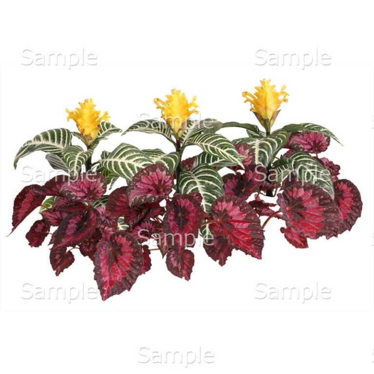 F1002 – sozaiya.com