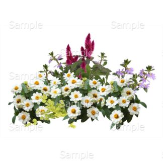 F1001 – sozaiya.com