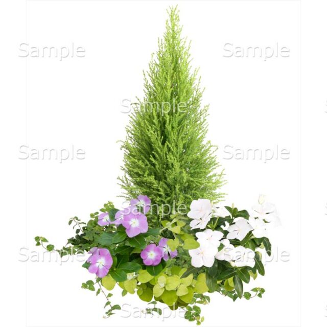 花素材 – sozaiya.com