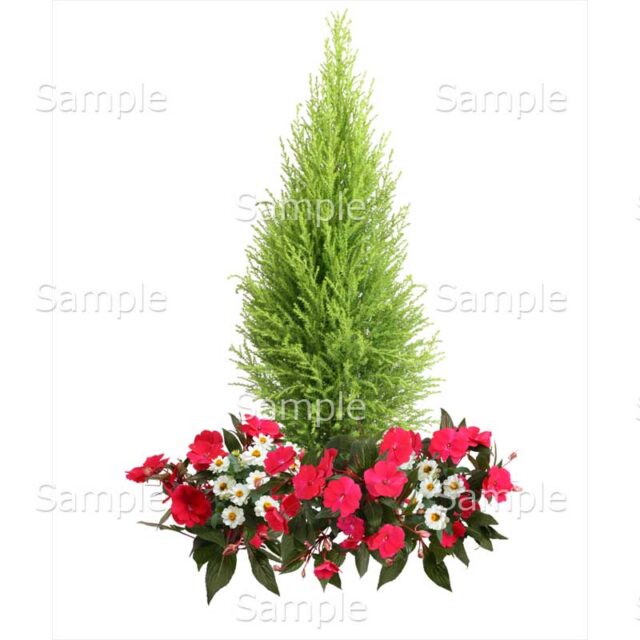 F1007 – sozaiya.com