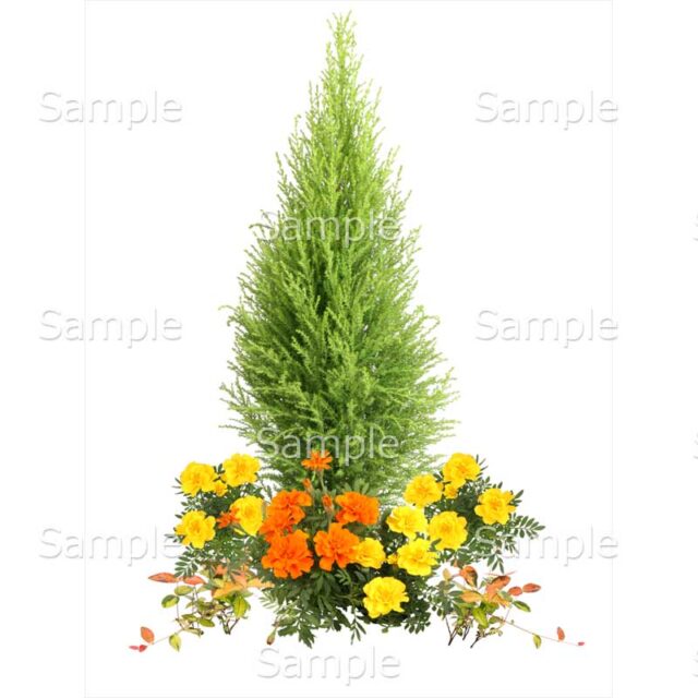 F1007 – sozaiya.com