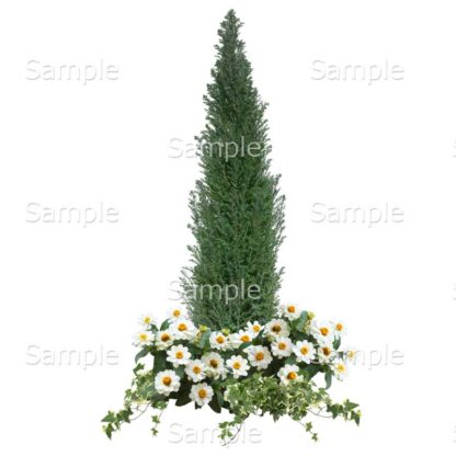 F1006 – sozaiya.com