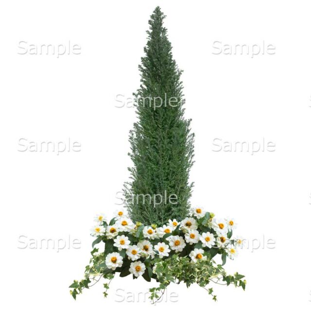 F1005 – sozaiya.com