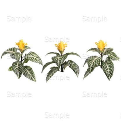 F1002 – sozaiya.com