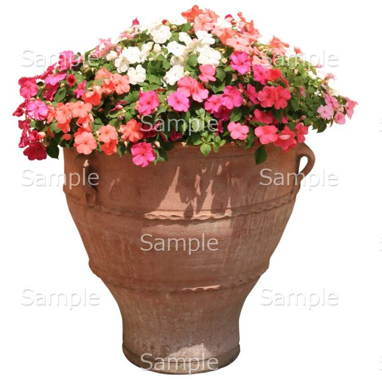 花素材 – sozaiya.com