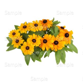 F1007 – sozaiya.com