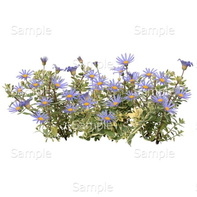 花素材 – sozaiya.com