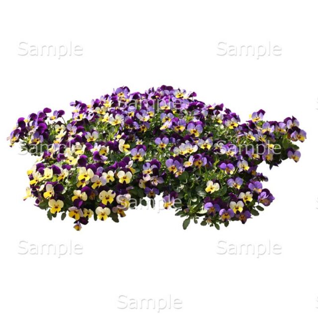 花素材 – ページ 2 – sozaiya.com