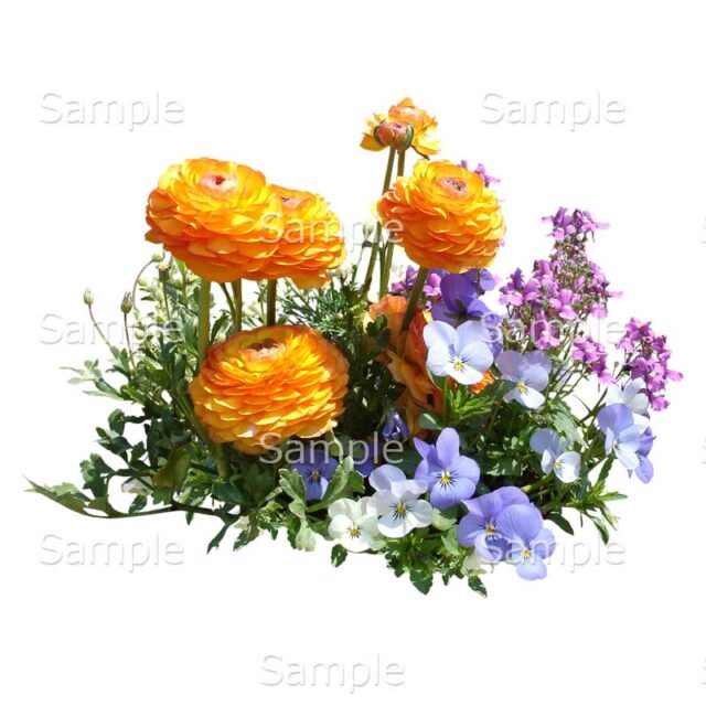 2f135 – sozaiya.com