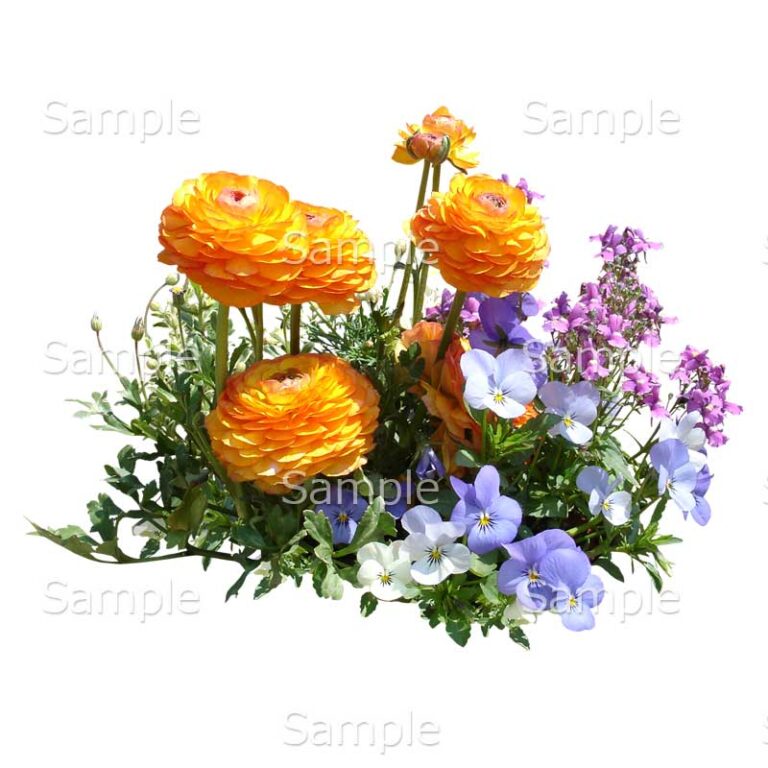 2f135 – sozaiya.com