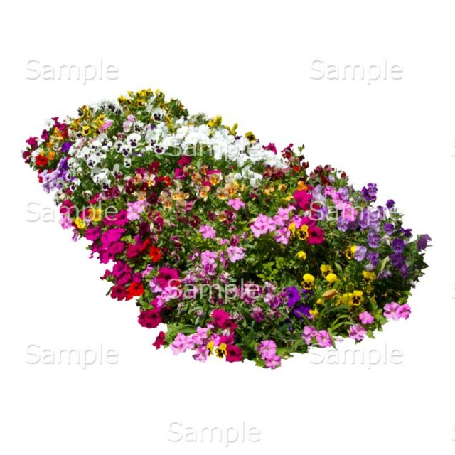 2f142 – sozaiya.com