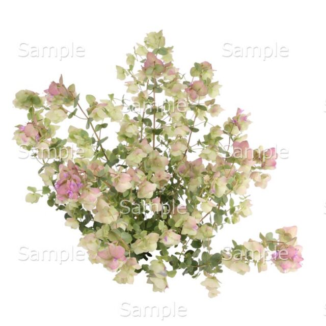 2f151 – sozaiya.com