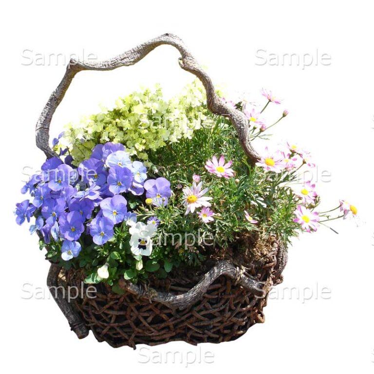 2f170 – sozaiya.com