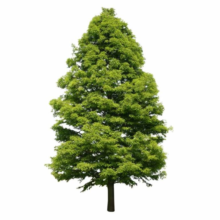 2t16 – sozaiya.com