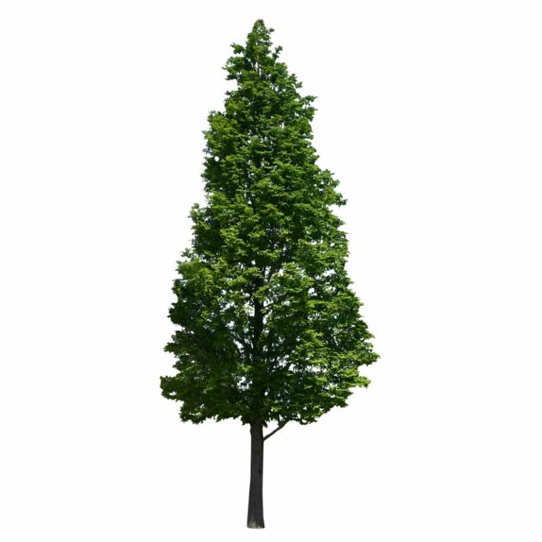 2t18 – sozaiya.com