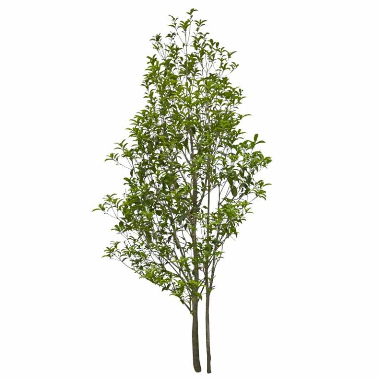 T1_057 – sozaiya.com