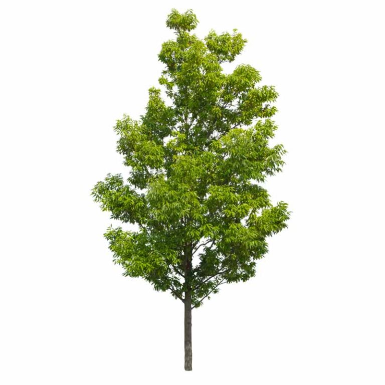 2t25 – sozaiya.com