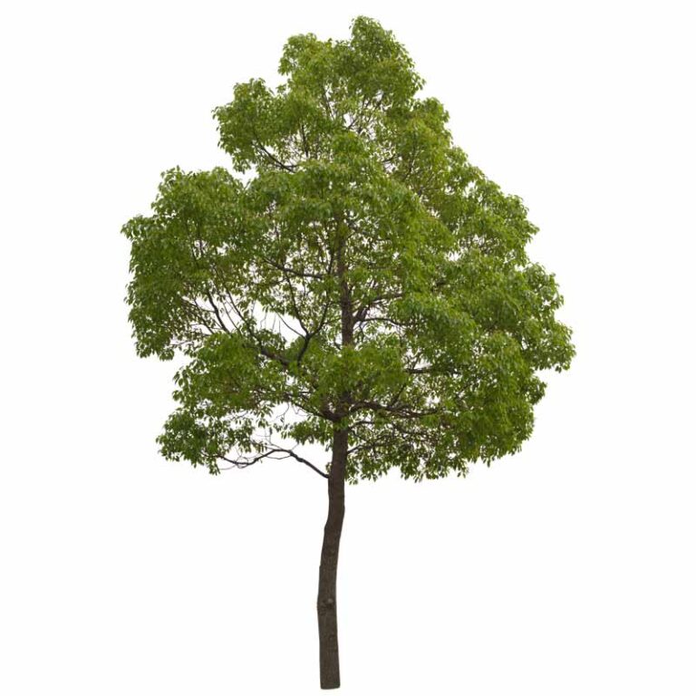 2t44 – sozaiya.com