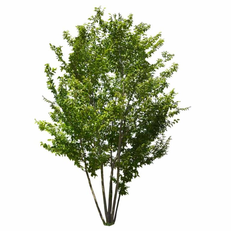 2t47 – sozaiya.com