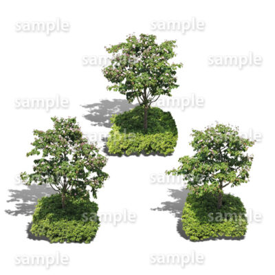 樹木素材 – ページ 5 – sozaiya.com