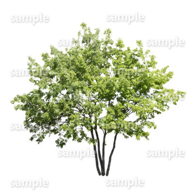 sozaiya.com – 人物剪纸/树木素材免费/人物插画/建筑CG素材网站