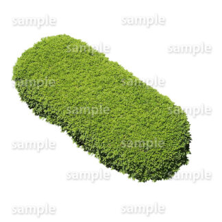 Bird_tree_50 – sozaiya.com