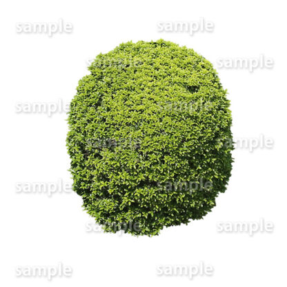 Bird_tree_51 – sozaiya.com