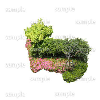 Bird_tree_53 – sozaiya.com