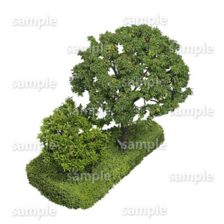 Bird_tree_54 – sozaiya.com