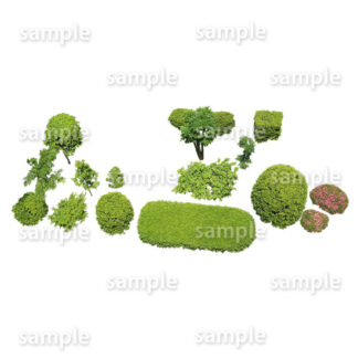 Bird_tree_57 – sozaiya.com