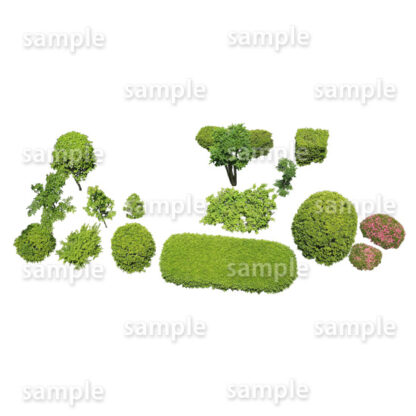 樹木素材 – sozaiya.com