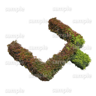 Bird_tree_59 – sozaiya.com