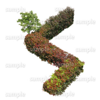 Bird_tree_60 – sozaiya.com