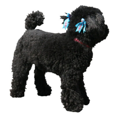 D1011 – sozaiya.com