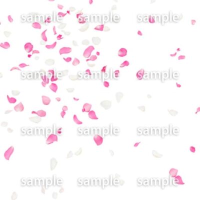 DD_Flower – sozaiya.com