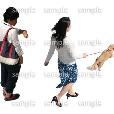 FF_169 – sozaiya.com