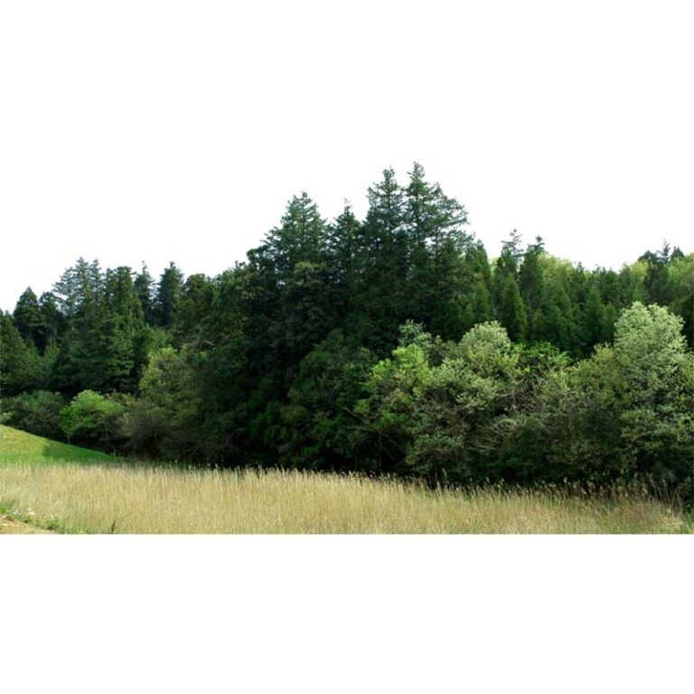 H1006 – sozaiya.com