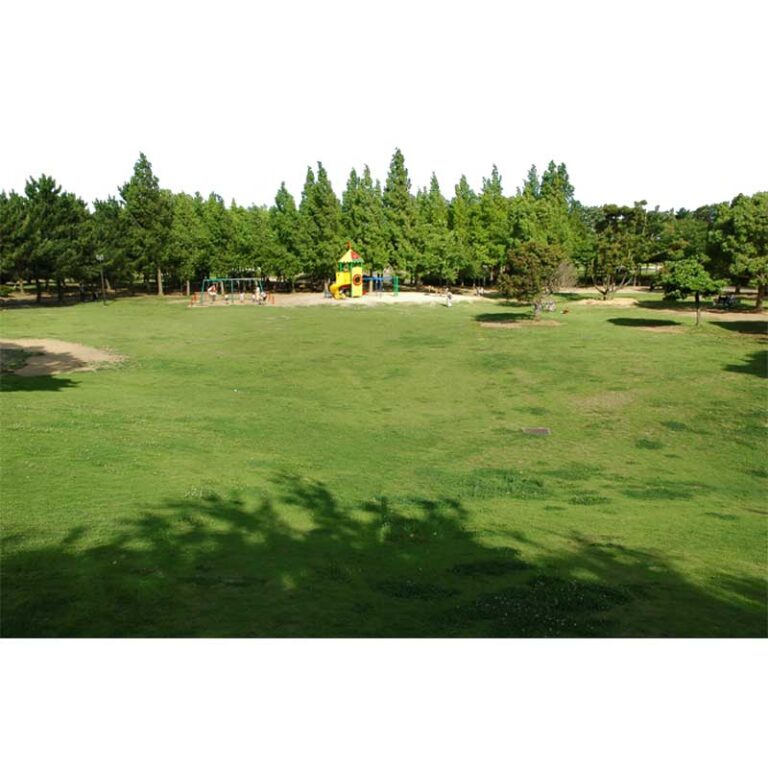 樹木片 – ページ 2 – sozaiya.com