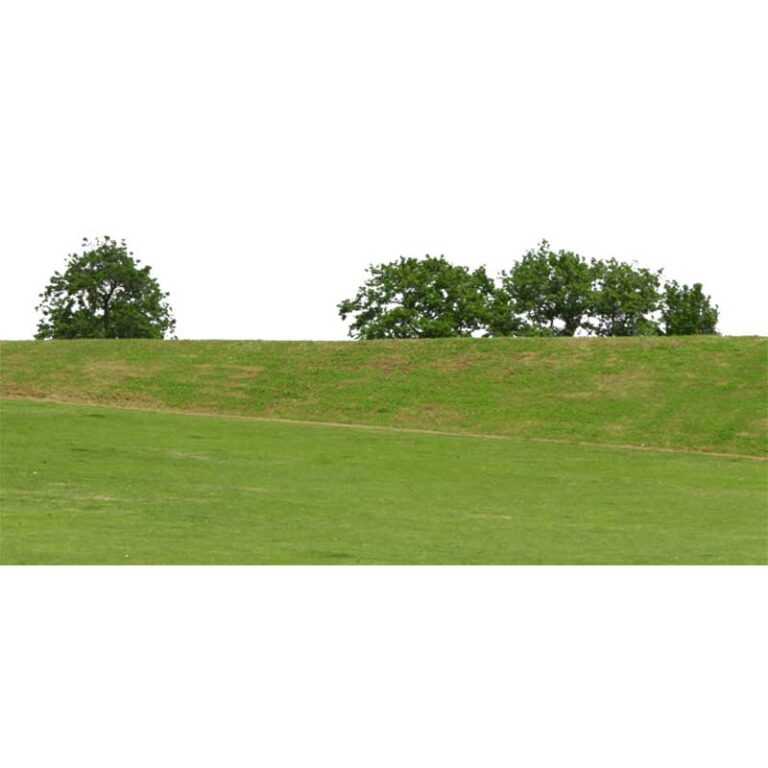 樹木片 – sozaiya.com